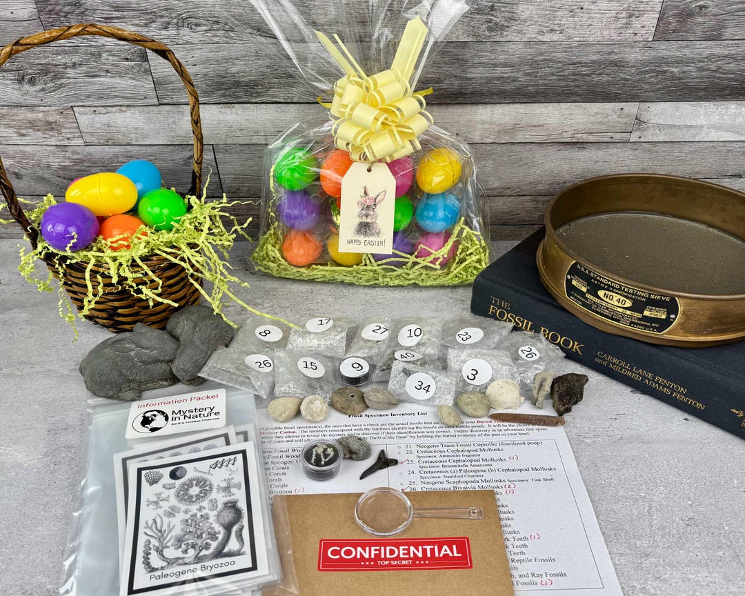 Mystery Box of Real Fossils – Nature-inspired Easter Gift Set - Etsy