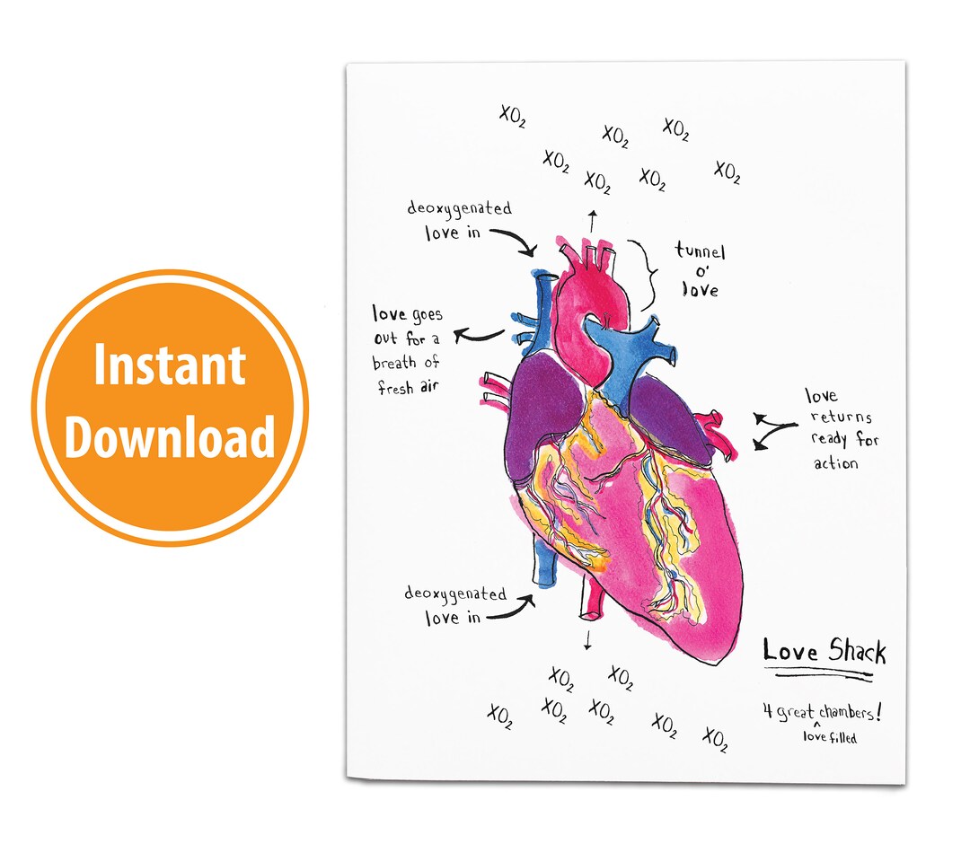 Downloadable Anatomical Heart Card - Etsy