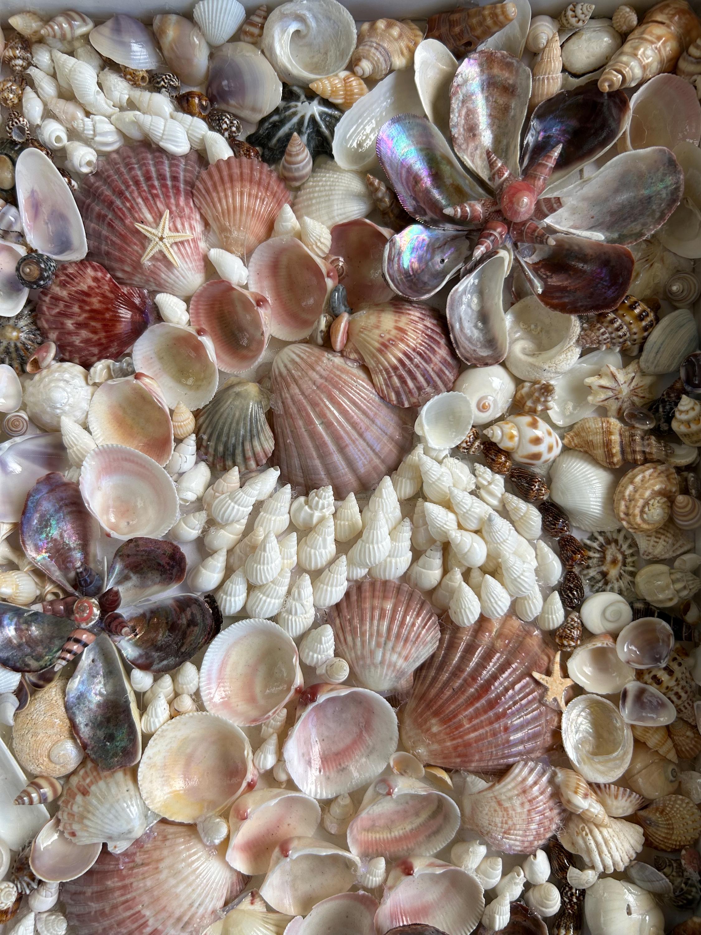 Shell Art - Etsy