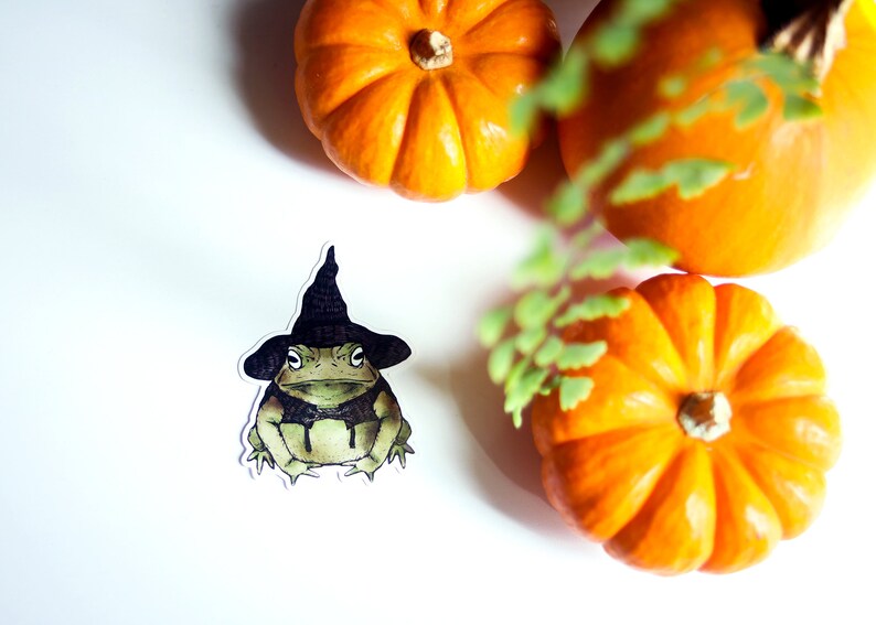 Witch Toad Sticker Halloween Wizard Frog Stickers Magical - Etsy