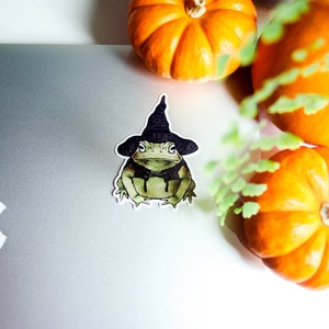 Witch Toad Sticker | Halloween Wizard Frog Stickers | Magical Fantasy ...