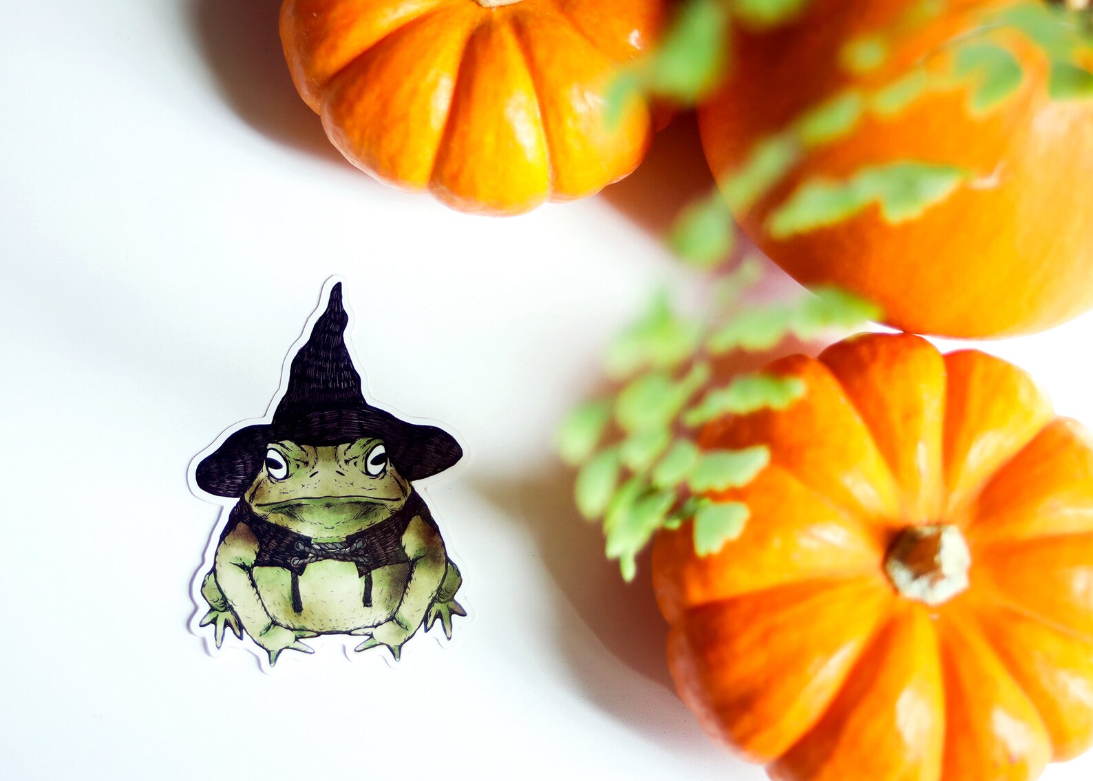Witch Toad Sticker Halloween Wizard Frog Stickers Magical - Etsy