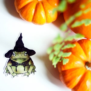 Witch Toad Sticker | Halloween Wizard Frog Stickers | Magical Fantasy ...