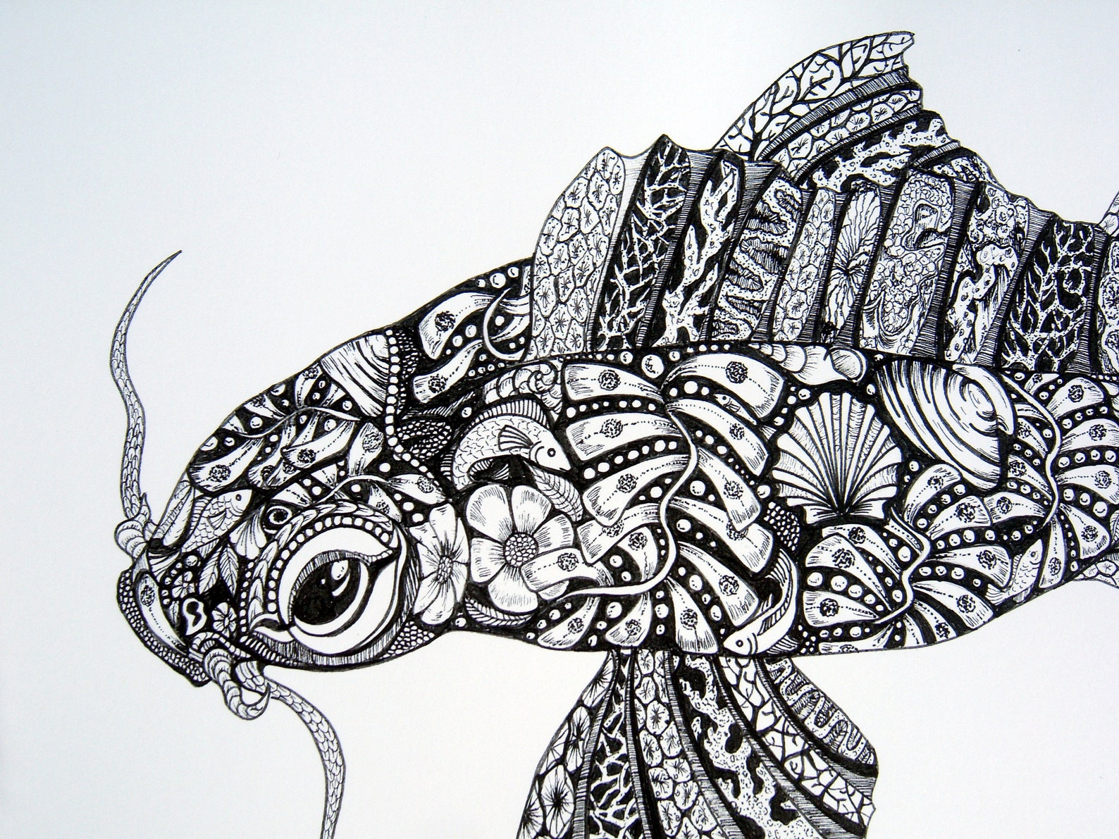 Zen KOI Fish Pen and Ink 8x10 PRINT Drawing Matted 11x14 Illustration ...