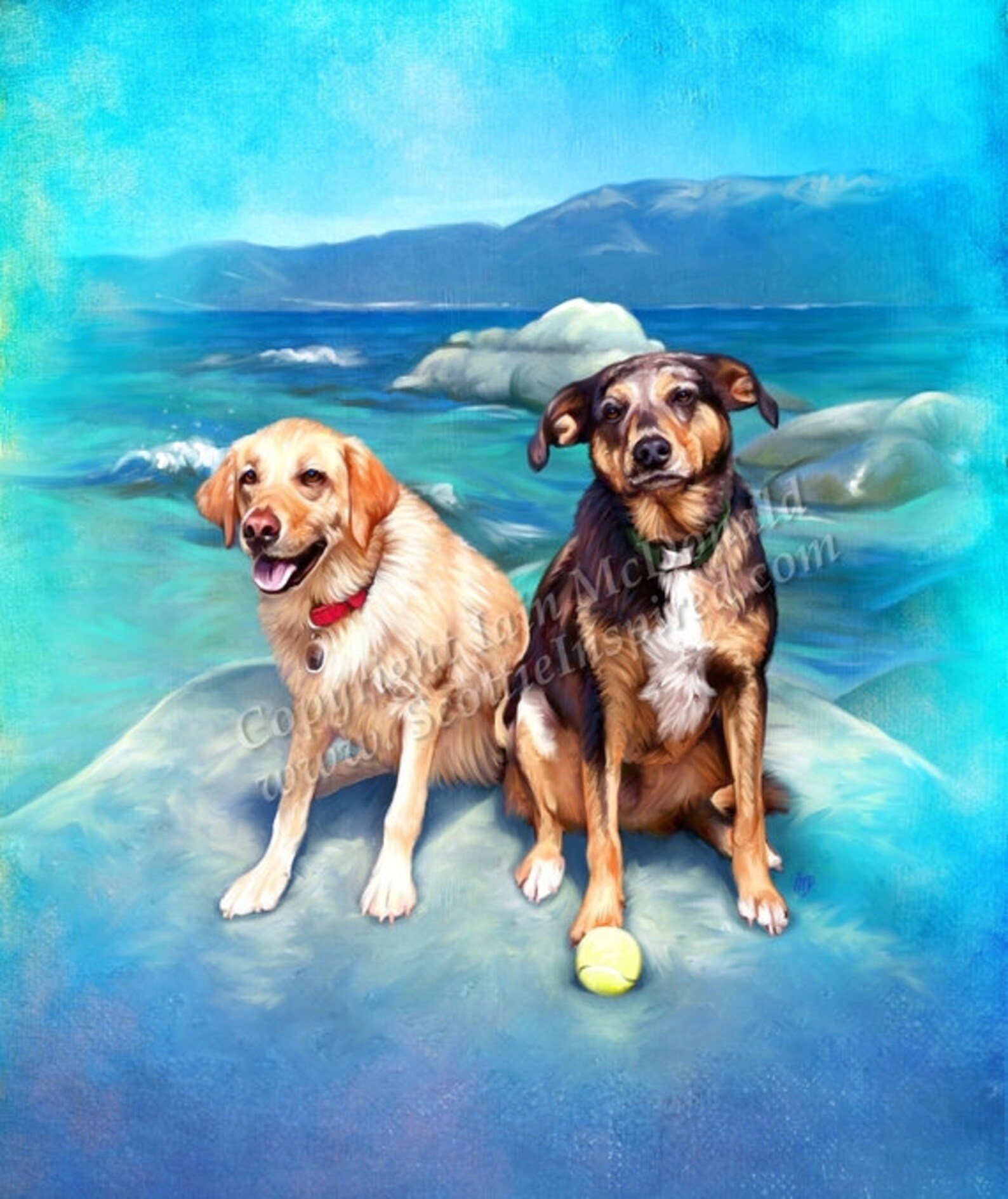 Custom Pet Art Custom Portraits From Your Photos - Etsy