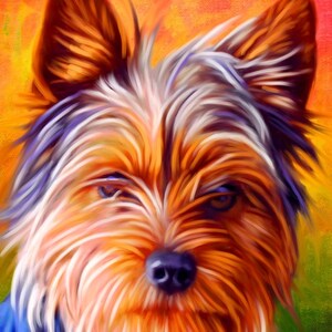 Yorkshire Terrier Portrait Custom Yorkshire Terrier Portrait Yorkshire ...