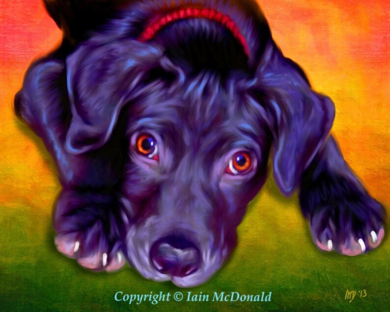 Black Labrador Portrait Custom Black Labrador Portrait - Etsy