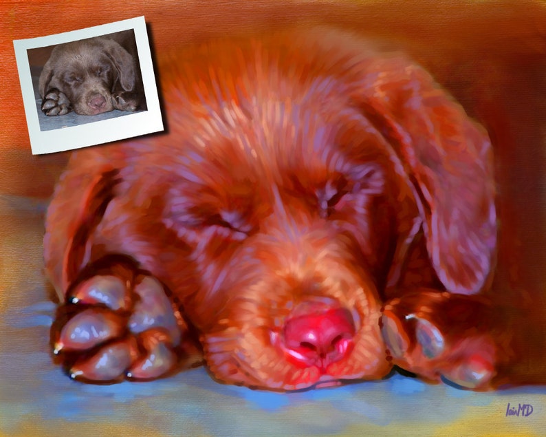 Chocolate Labrador Portrait Chocolate Lab Art Chocolate - Etsy