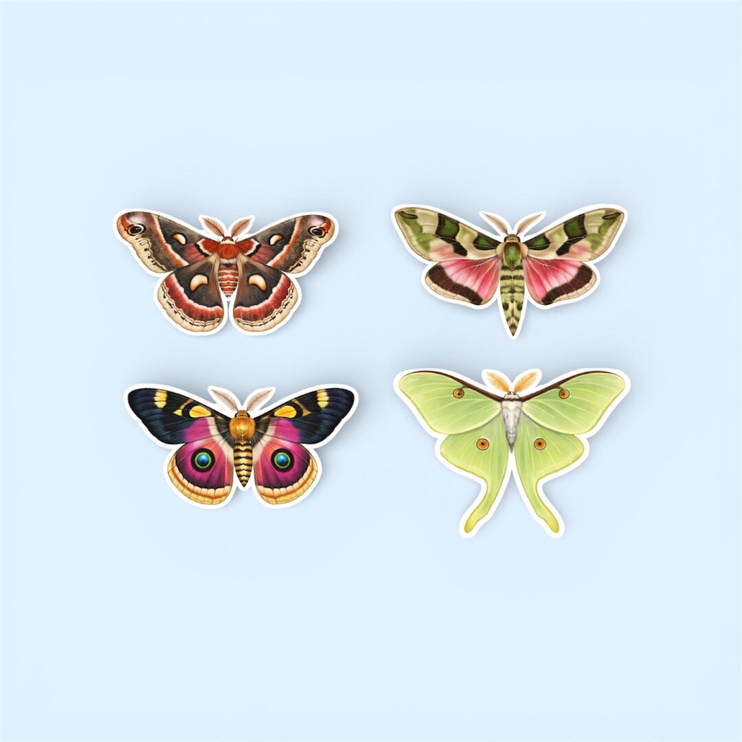 Moth Sticker Pack - 4 Die Cut Moth Stickers - Cecropia Luna Sphinx ...