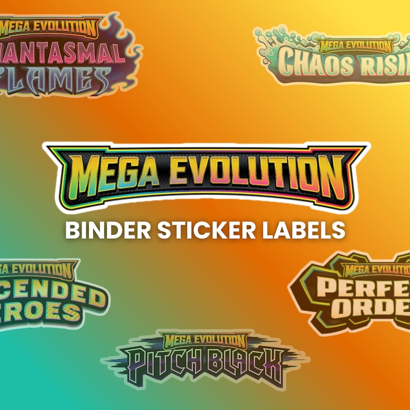 Binders With Labels - Etsy