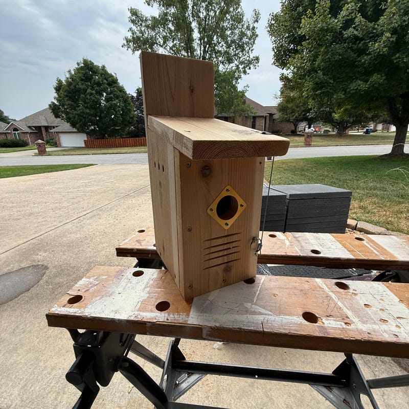 Eastern Bluebird Nest Boxes - Etsy