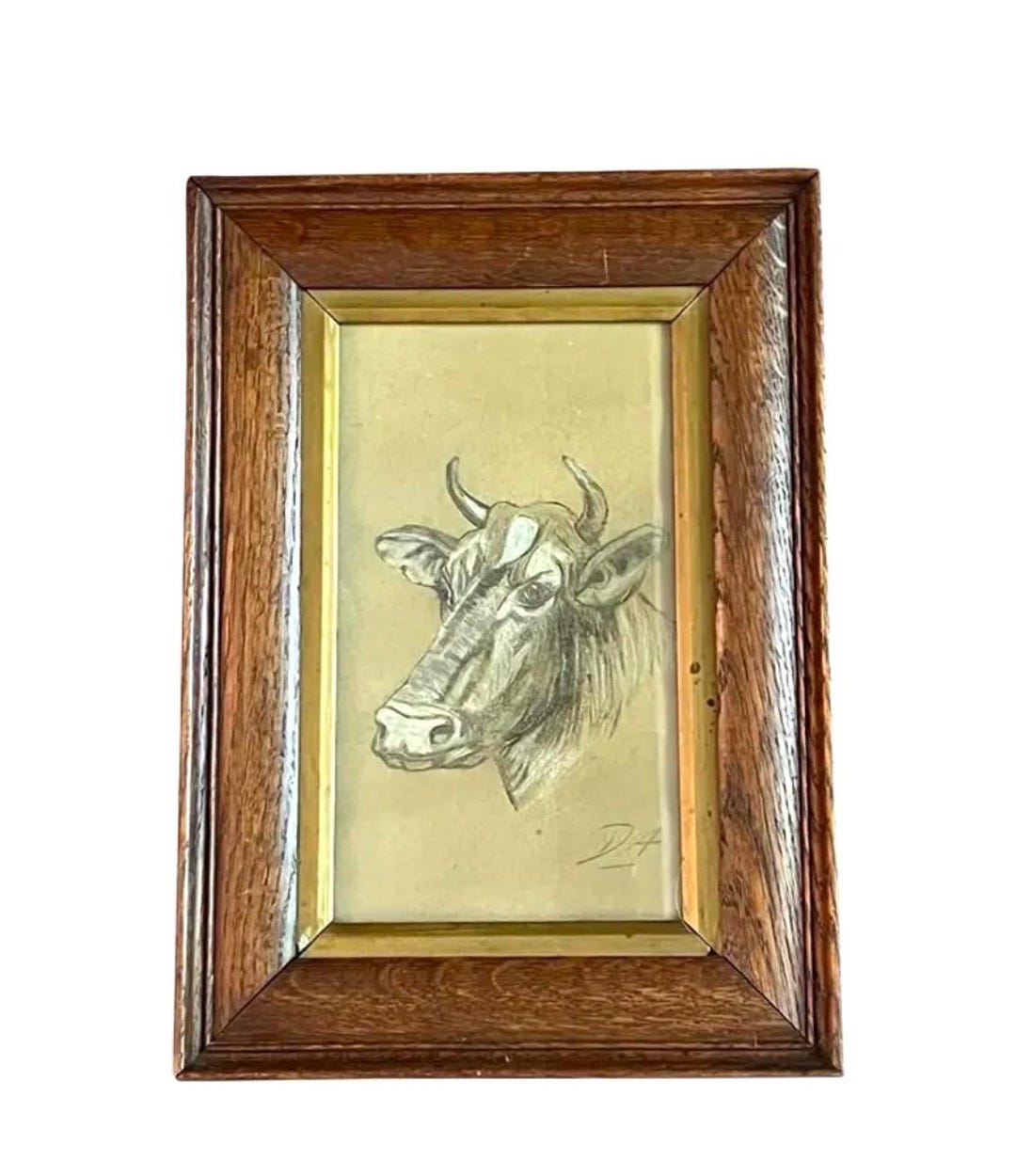 Early 20thc Graphite Pencil Drawing of Cow, Framed From England - Etsy