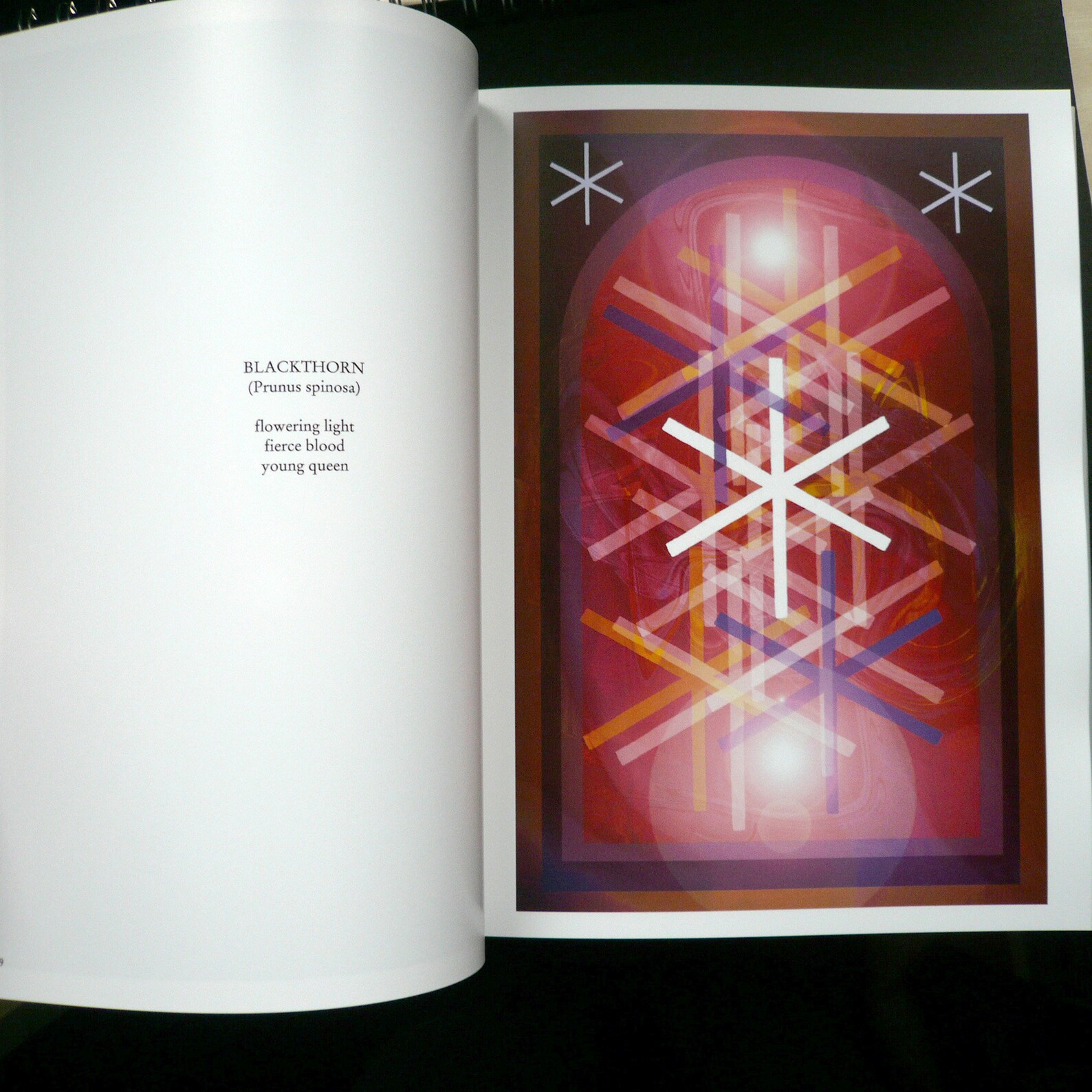 Art Book: 'the Radiant Grove - Symbols and Sutras' - Etsy