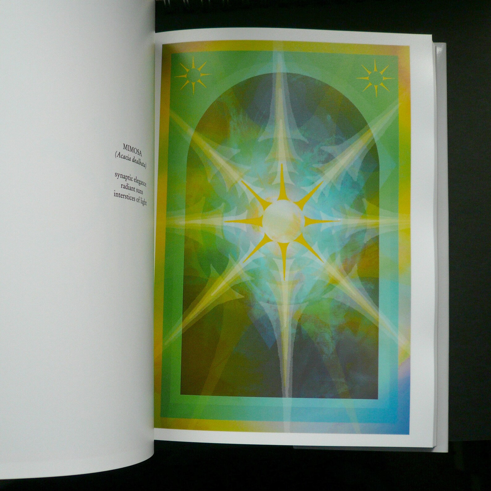 Art Book: 'the Radiant Grove - Symbols and Sutras' - Etsy