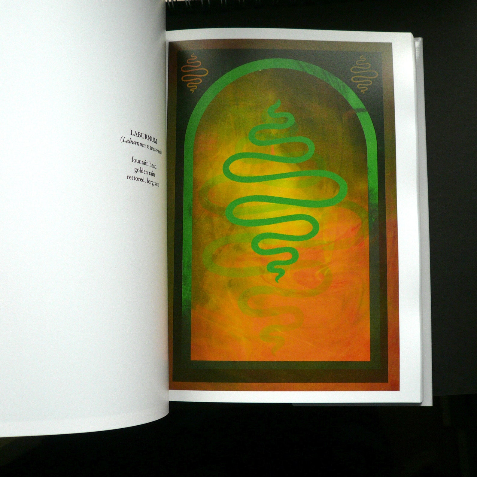 Art Book: 'the Radiant Grove - Symbols and Sutras' - Etsy