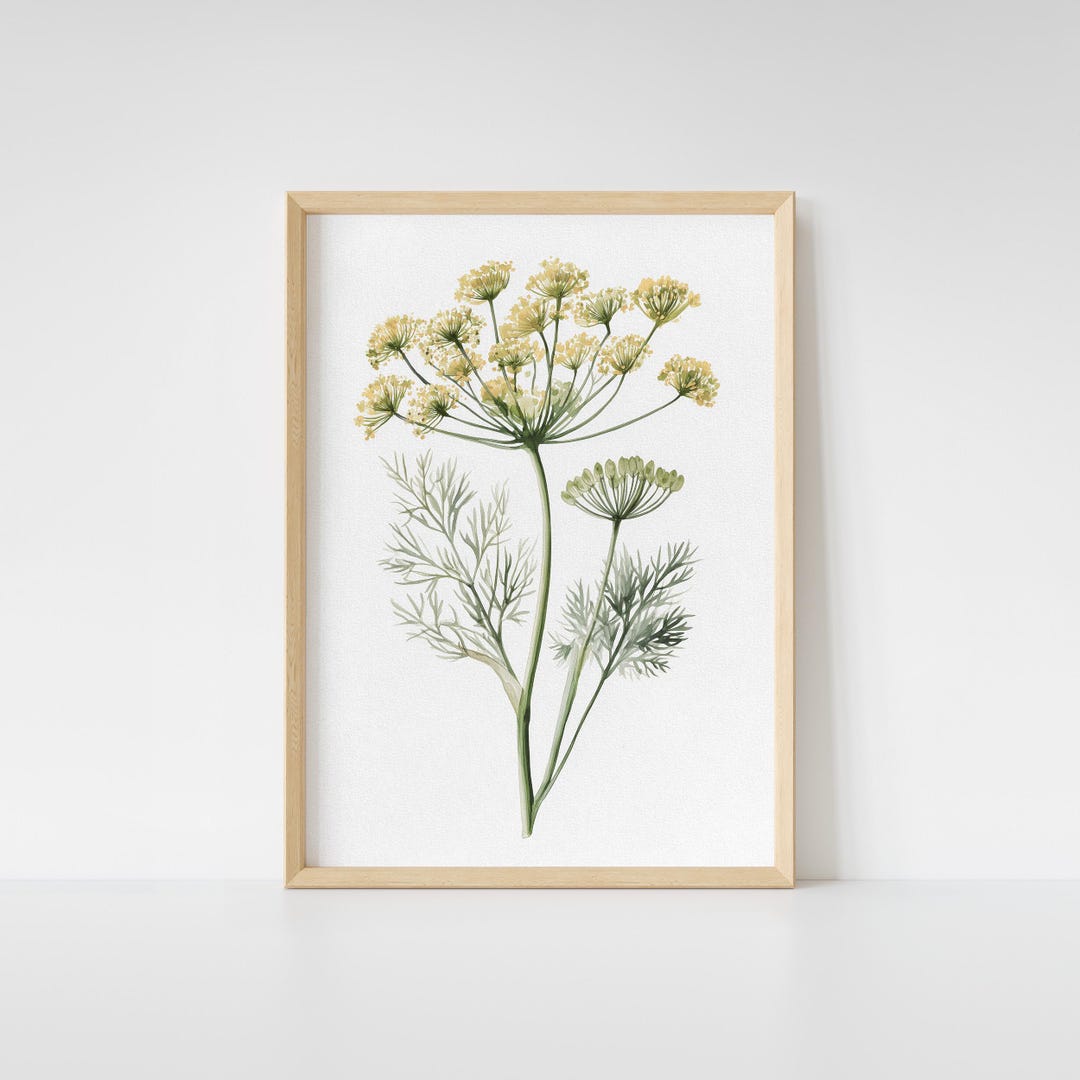 Printable Dill Botanical Wall Art – Vintage Floral Nature Decor for ...