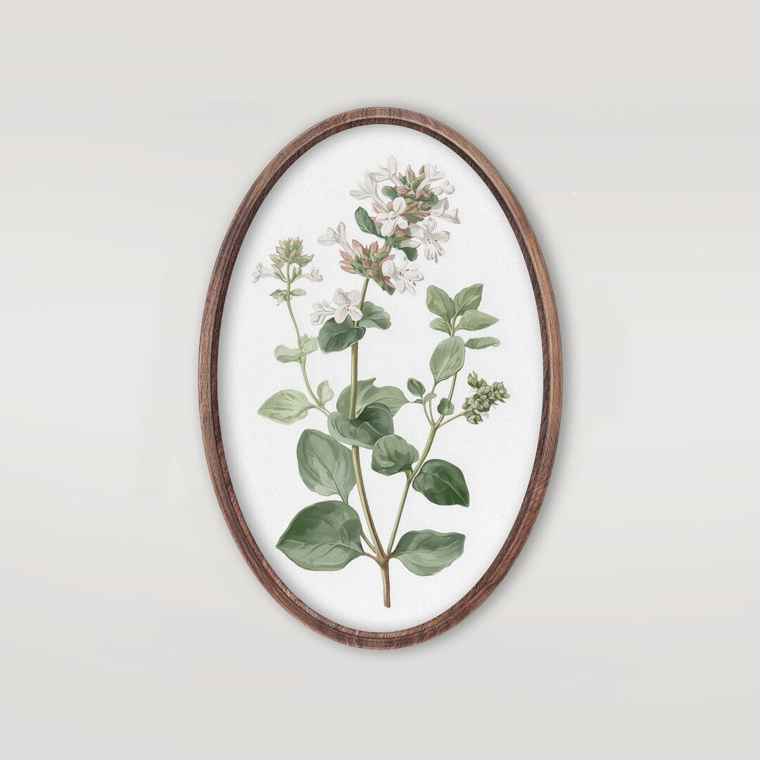 Printable Oregano Botanical Wall Art – Vintage Floral Nature Decor for ...