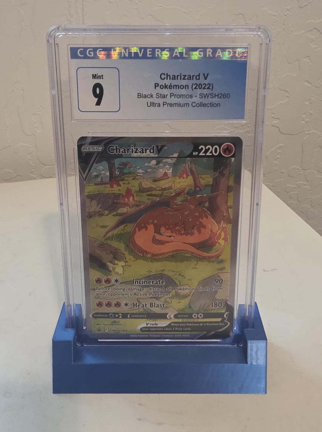 CGC Slab Display (pack of 6) - Etsy