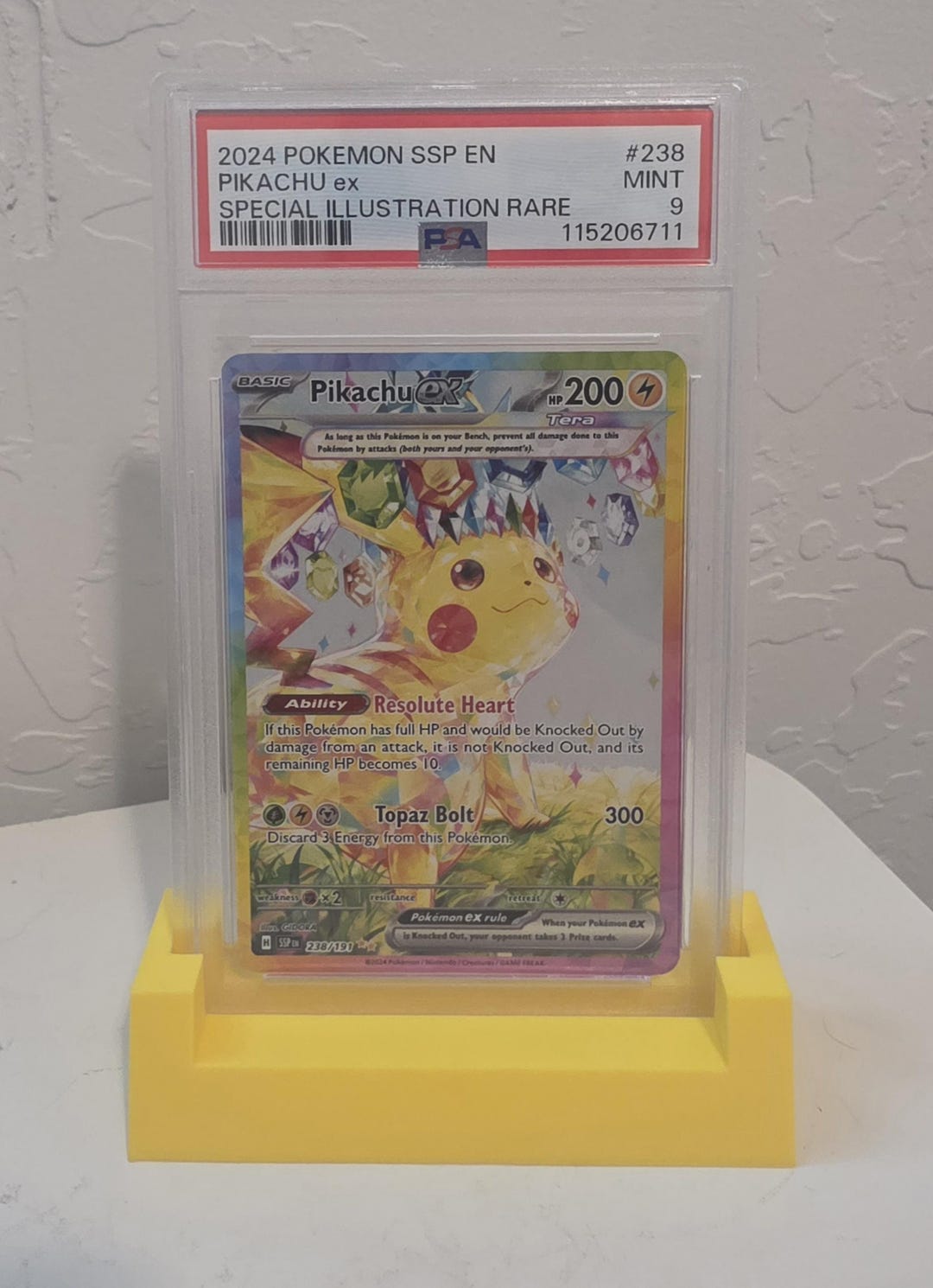 PSA Slab Display (pack of 6) - Etsy