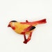 Vintage Colorful Bird Pin, Occupied Japan Celluloid Bird Pin Brooch - Etsy
