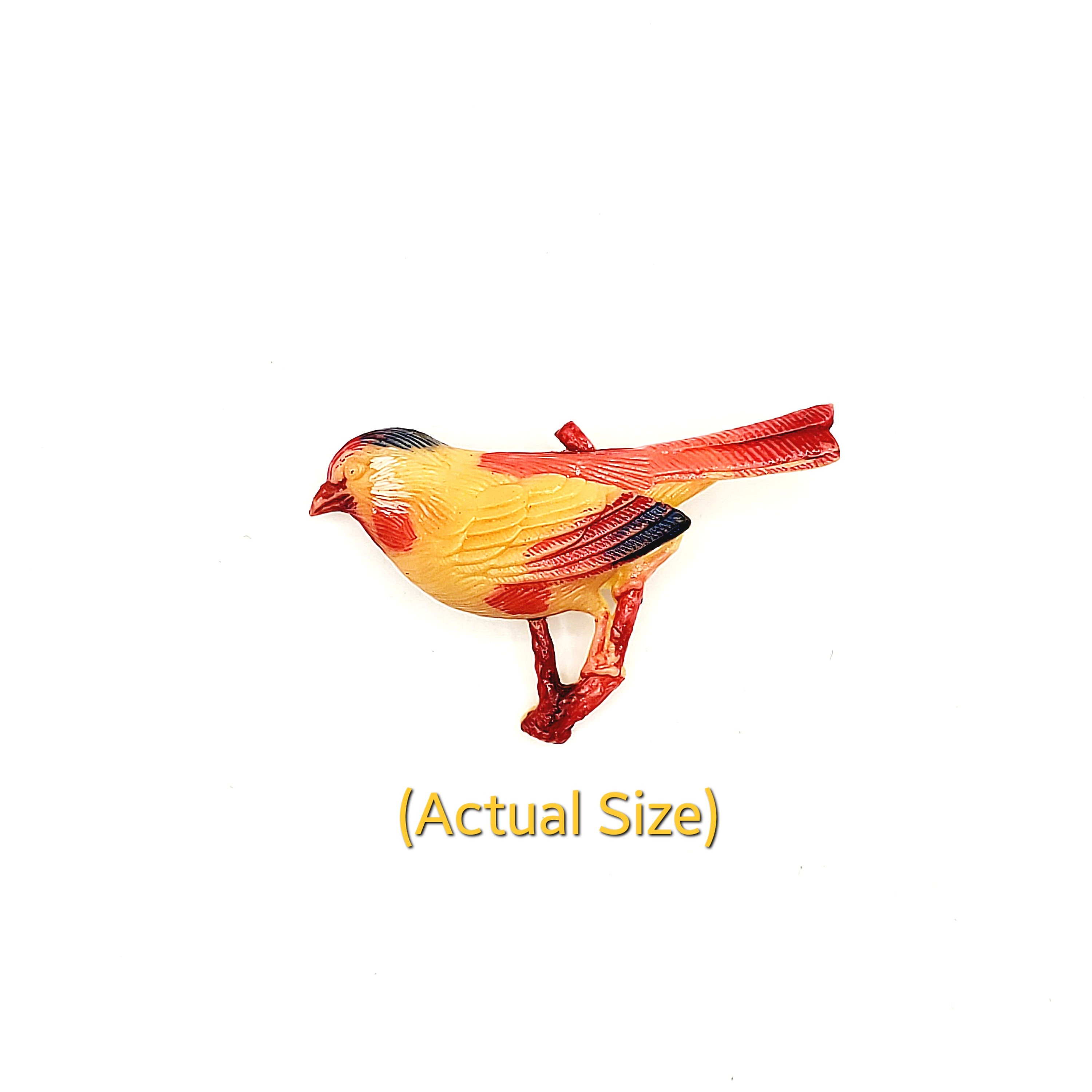 Vintage Colorful Bird Pin, Occupied Japan Celluloid Bird Pin Brooch - Etsy