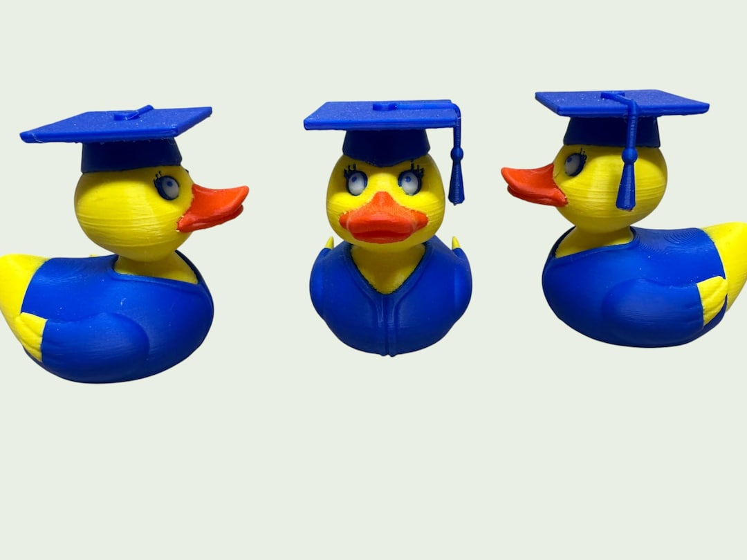 Graduation Duck Figurine | College Grad Gift - Etsy