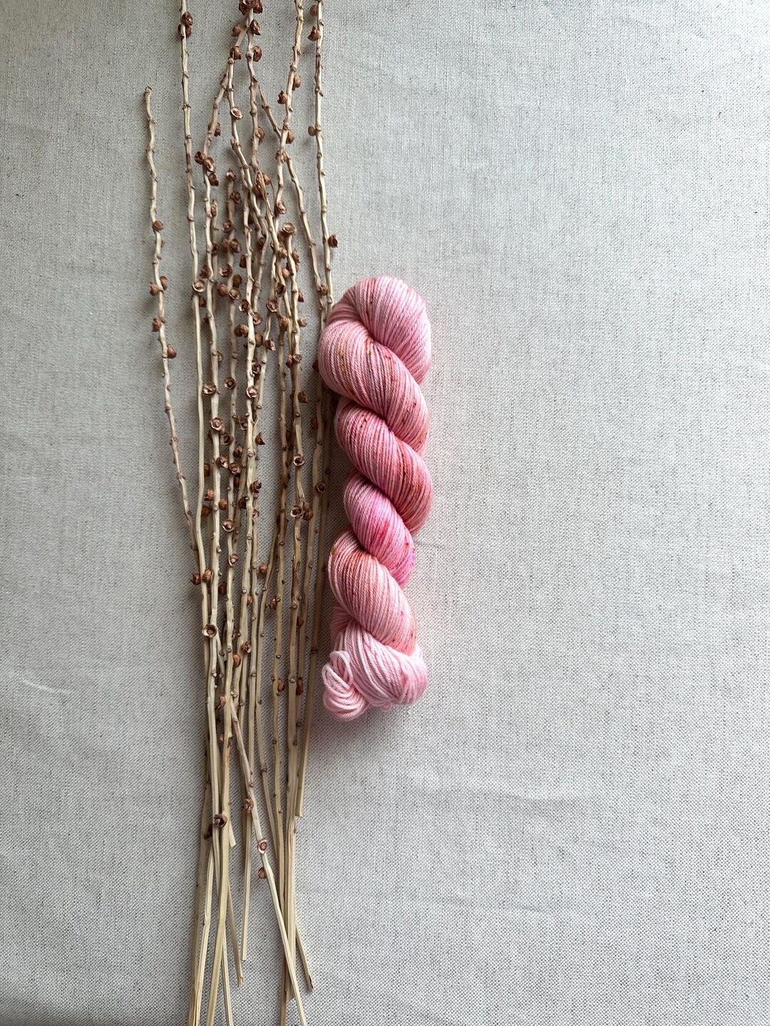 Rhubarb Crumble SW Merino Nylon Yarn Fingering Weight Soft and Squishy ...