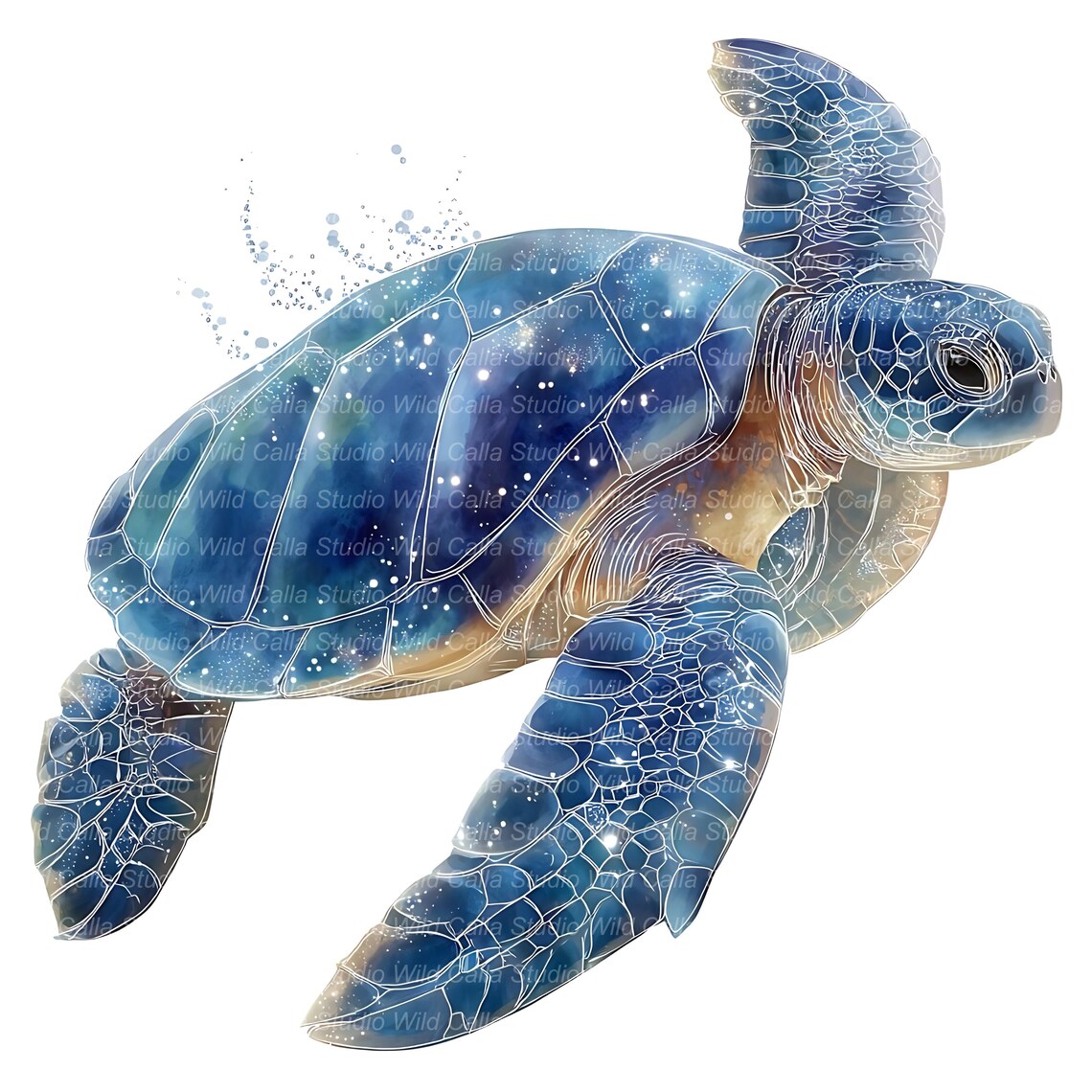 Ocean Turtle Watercolor Clipart (14 High-res Jpgs, Digital Download) - Etsy