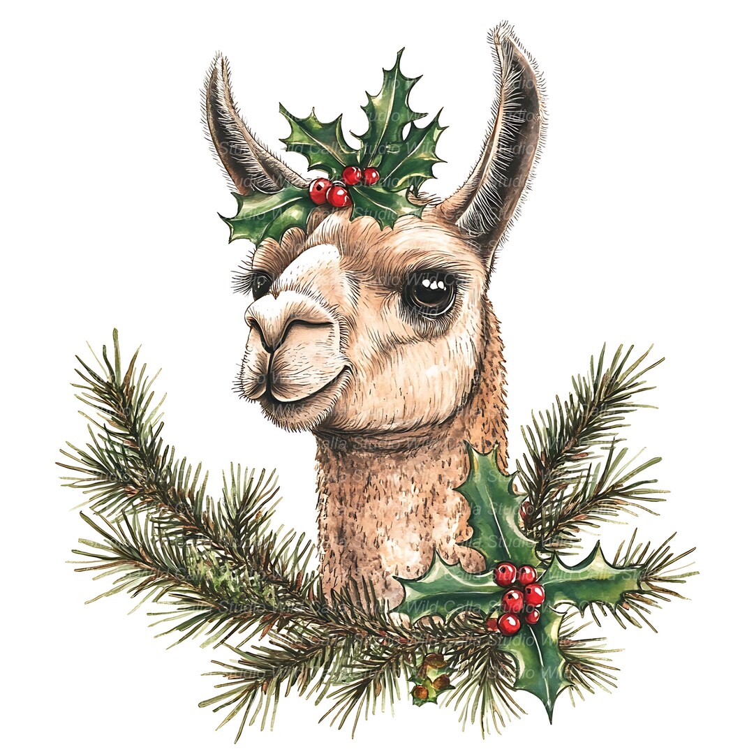 Christmas Llama Clipart, Watercolor Holly Pine (14 Digital Jpgs) - Etsy