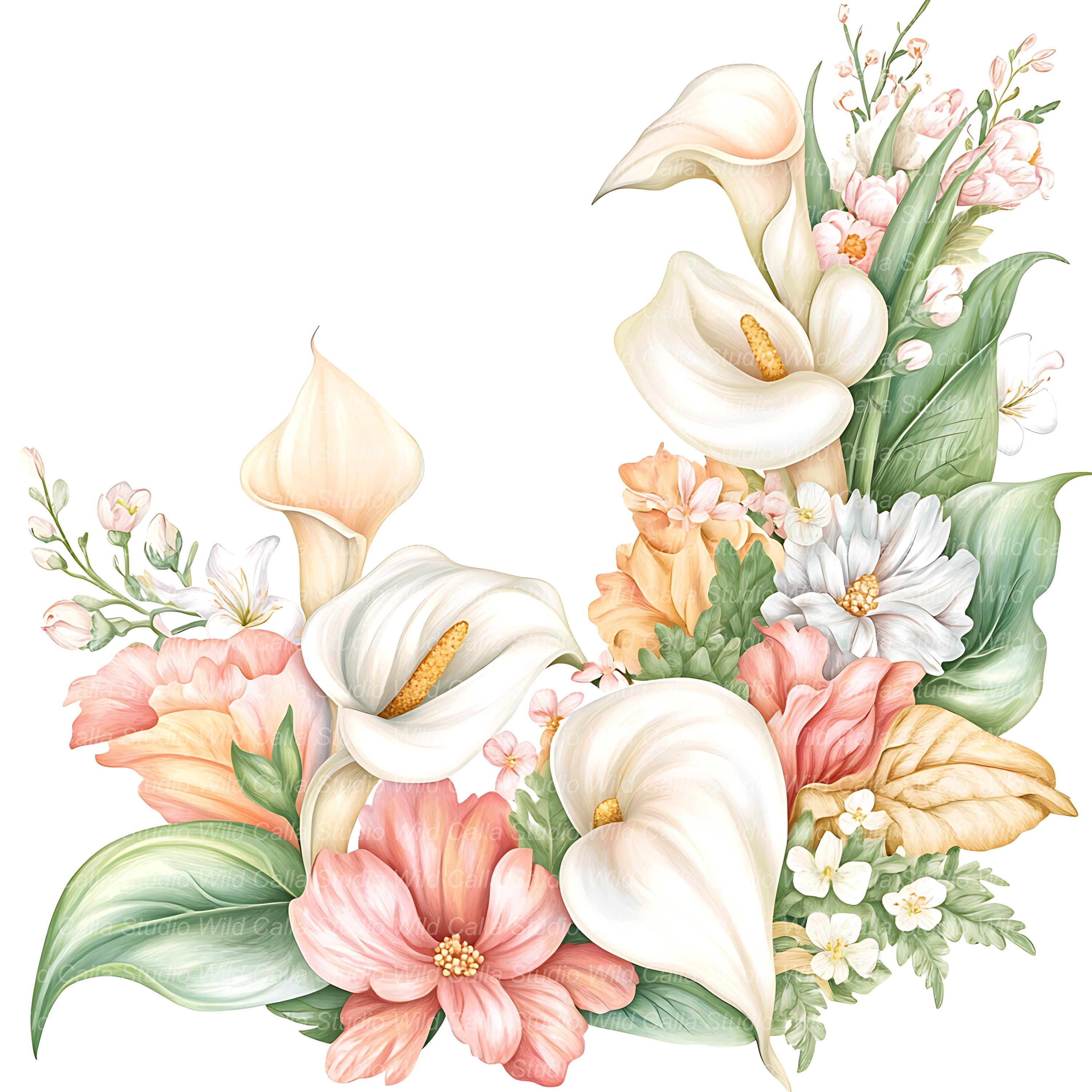 Calla Lily Clipart: Pastel Floral Borders for Card Making (16 JPG Files ...