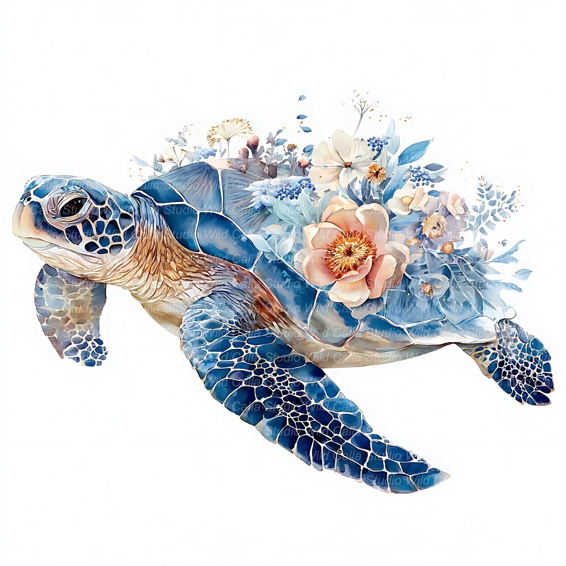 Ocean Turtle Watercolor Clipart (14 High-res Jpgs, Digital Download) - Etsy