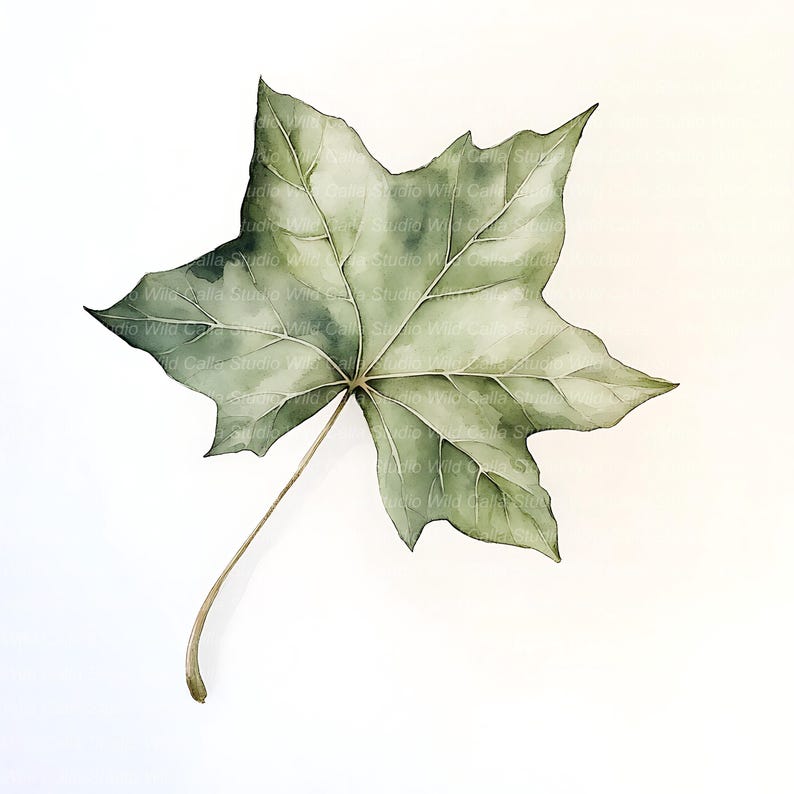 12 Watercolor Ivy Leaf Clipart: Printable JPG for Scrapbooking - Etsy