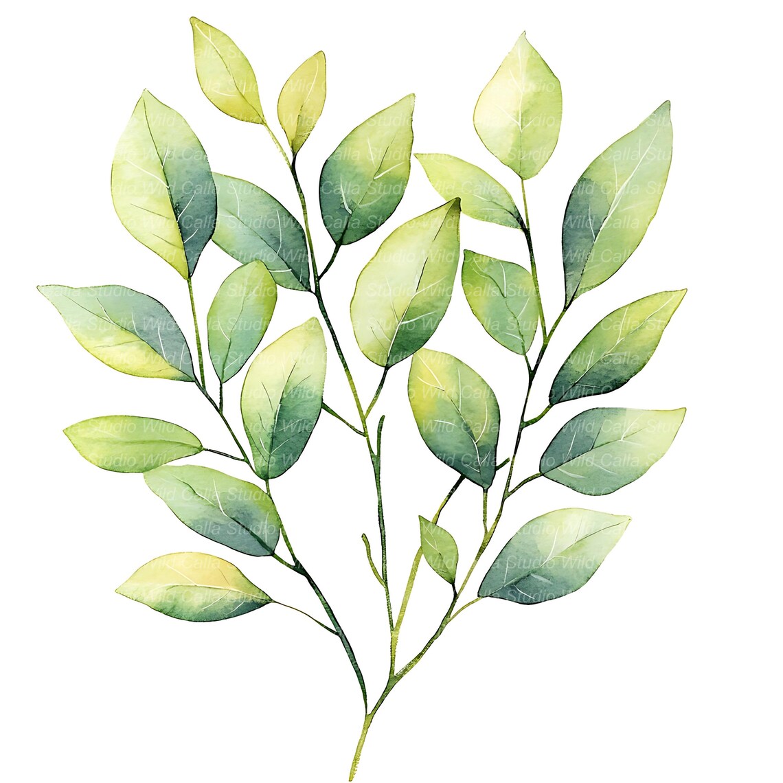 Spring Leaves Clipart: Watercolor Bouquet (13 Digital Files) - Etsy