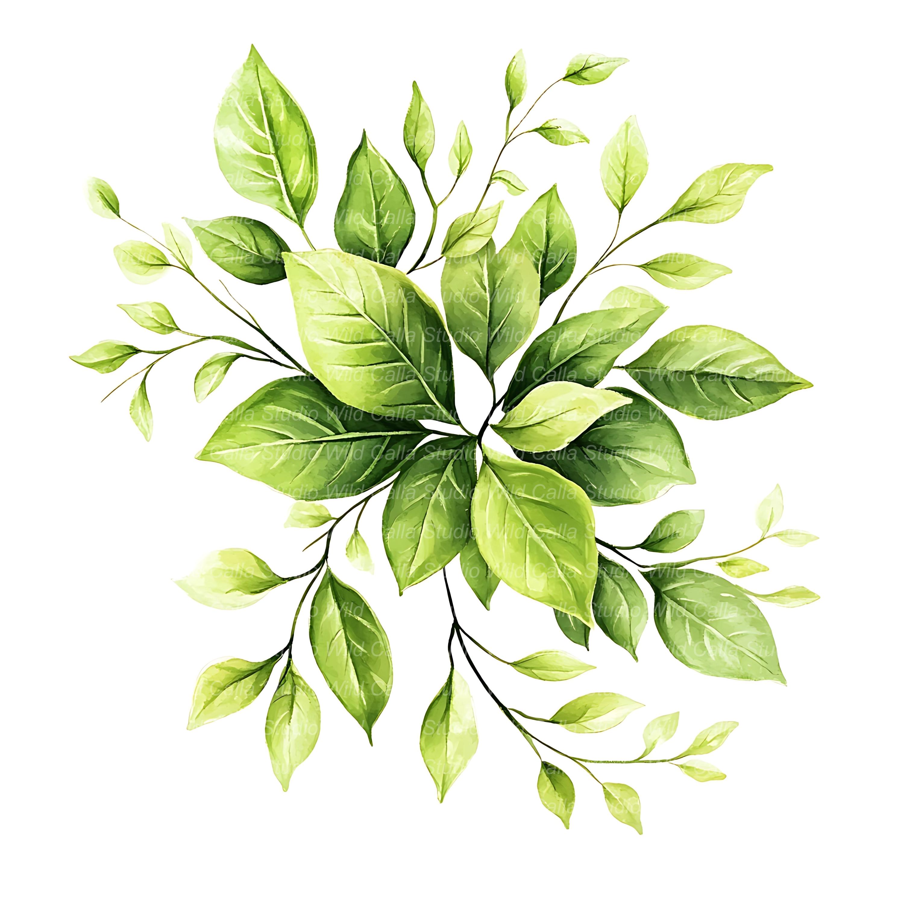Spring Leaves Clipart: Watercolor Bouquet (13 Digital Files) - Etsy