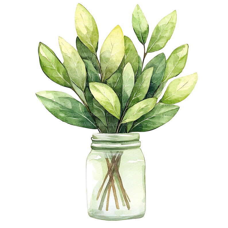 Spring Leaves Clipart: Watercolor Floral Designs - Digital Download - Etsy