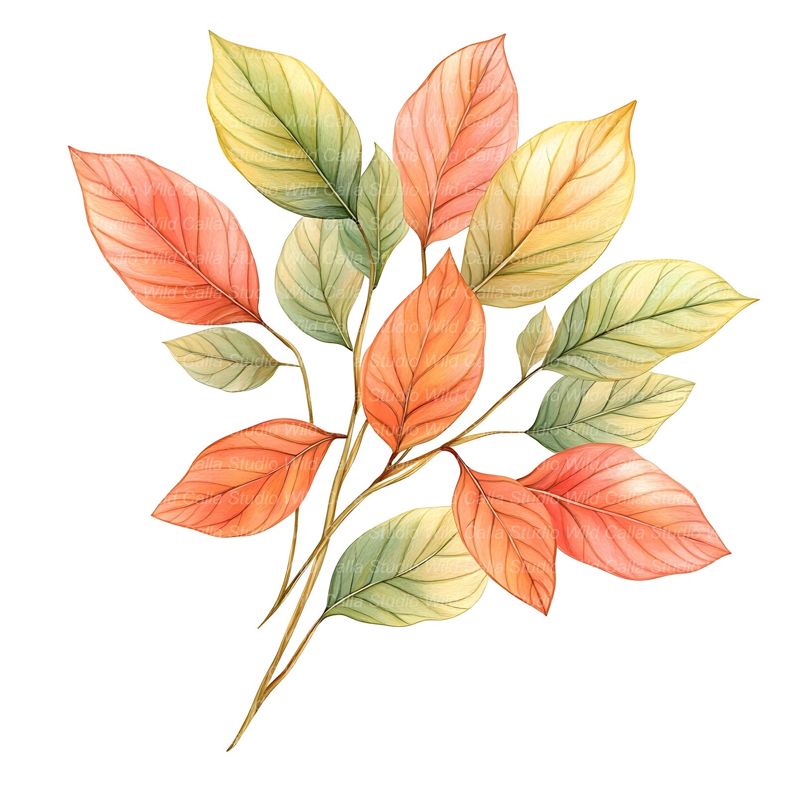 Spring Leaves Clipart: Watercolor Bouquet (13 Digital Files) - Etsy