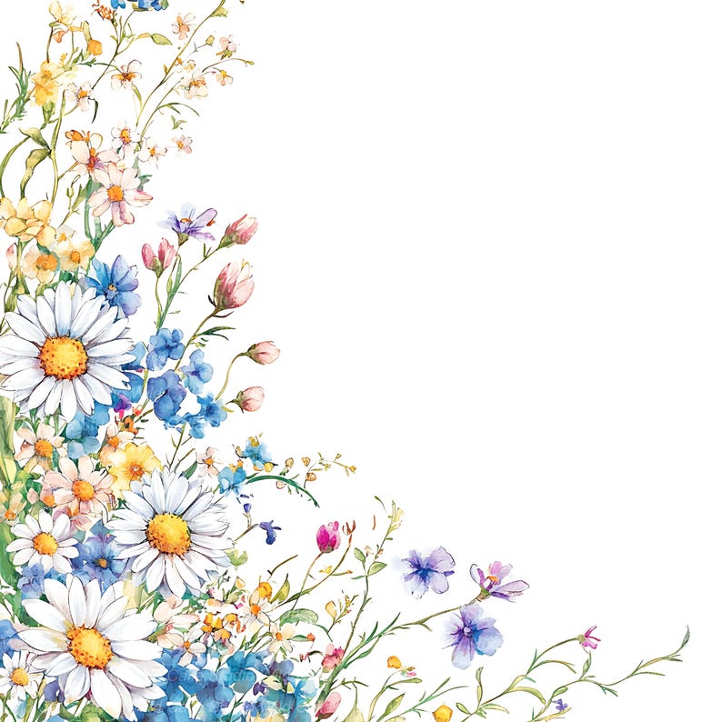 Floral Clipart Set: Daisy Borders and Spring Flowers - Pastel Colors - Etsy