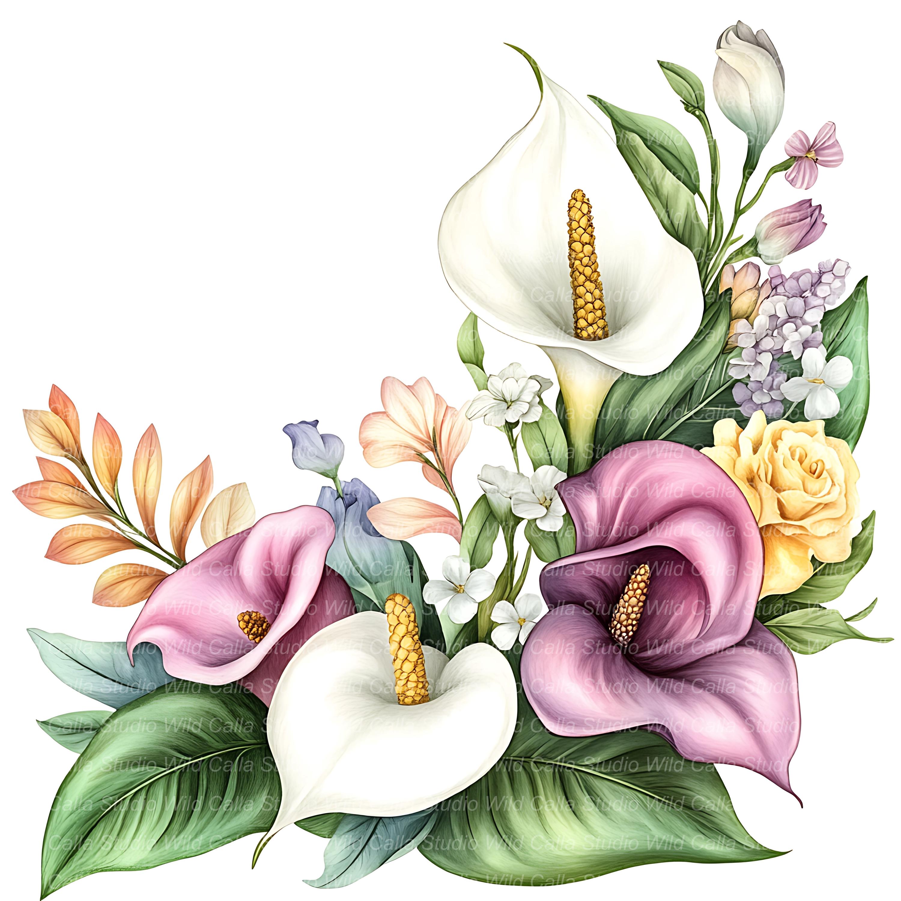 Calla Lily Clipart: Pastel Floral Borders for Card Making (16 JPG Files ...
