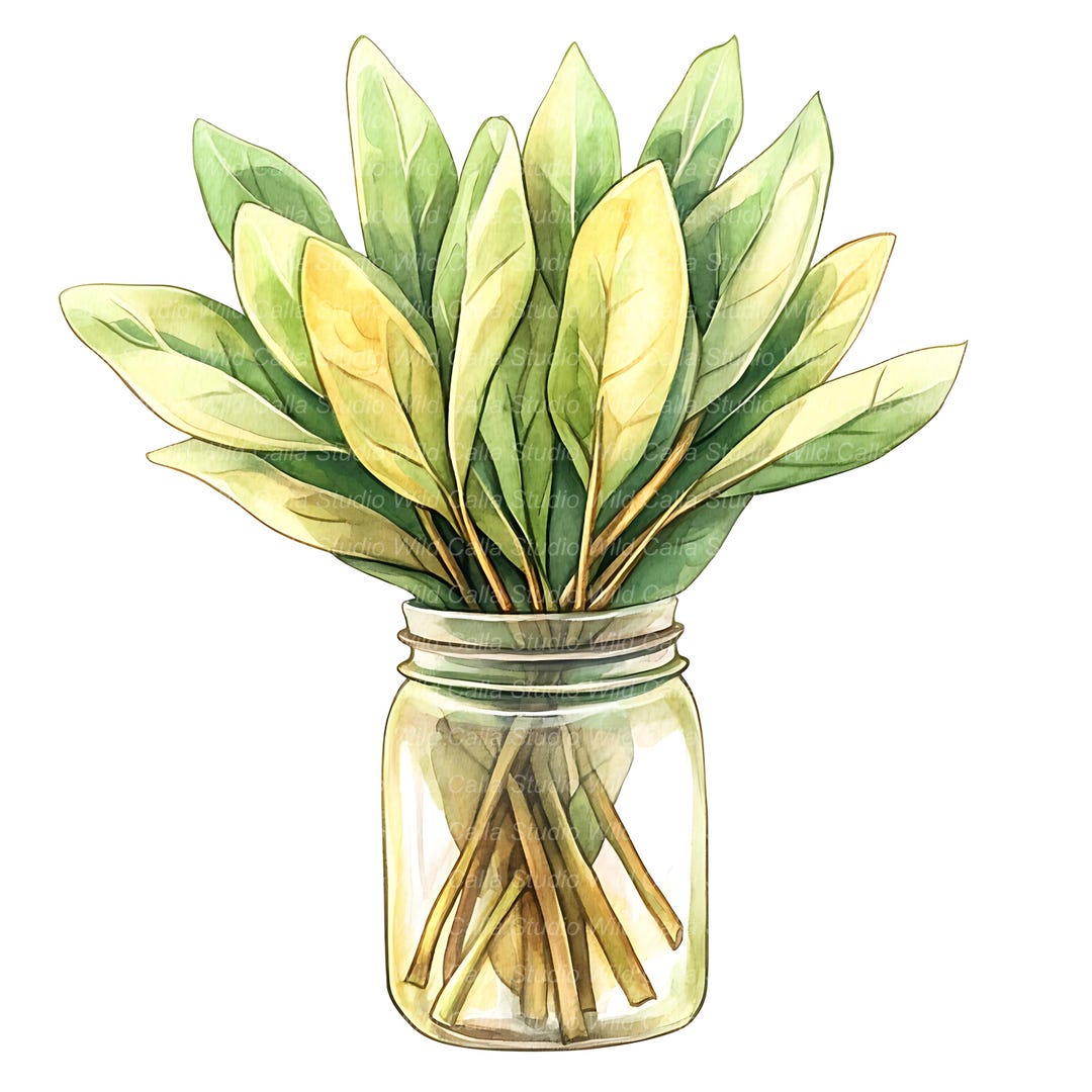 Spring Leaves Clipart: Watercolor Floral Designs - Digital Download - Etsy