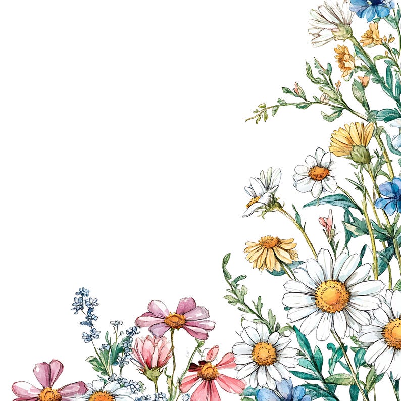 Floral Clipart Set: Daisy Borders and Spring Flowers - Pastel Colors - Etsy
