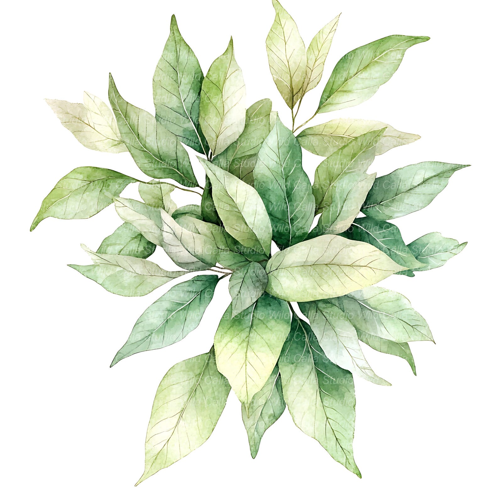 Spring Leaves Clipart: Watercolor Bouquet (13 Digital Files) - Etsy