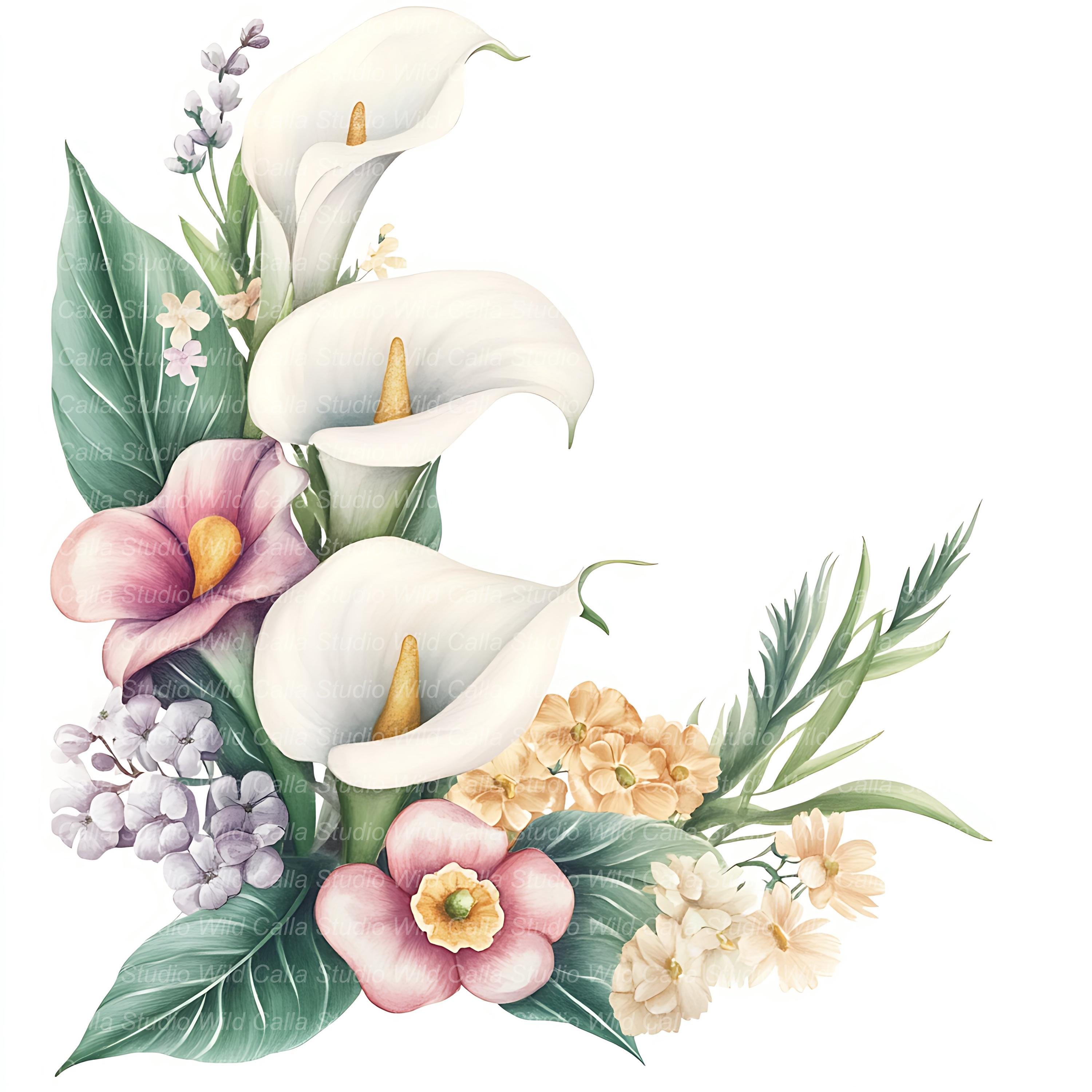 Calla Lily Clipart: Pastel Floral Borders for Card Making (16 JPG Files ...