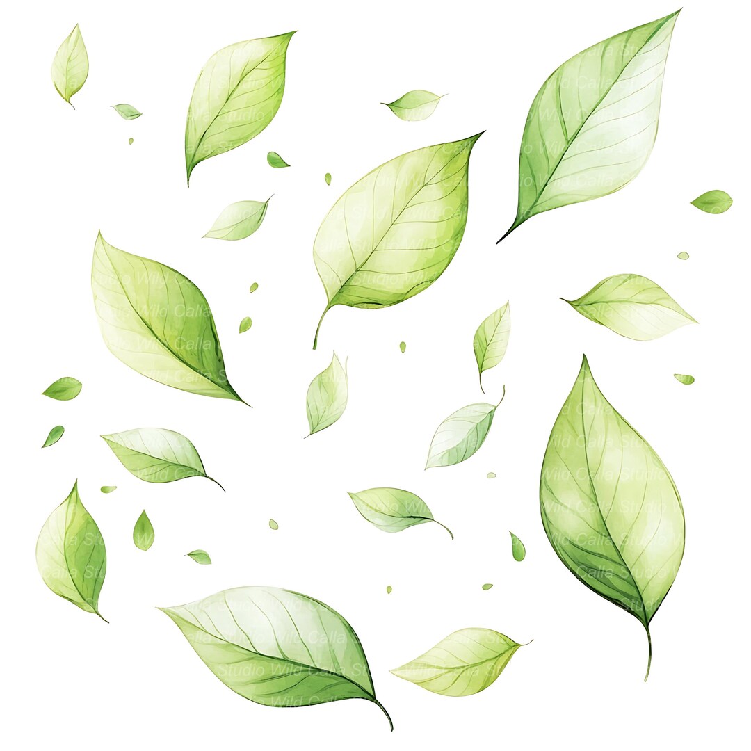 14 Spring Leaf Clipart: Watercolor Leaves for Scrapbooking - Etsy