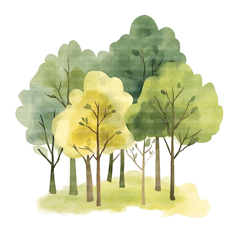 Forest Tree Clipart, Watercolor Printable (16 JPG Images) - Etsy