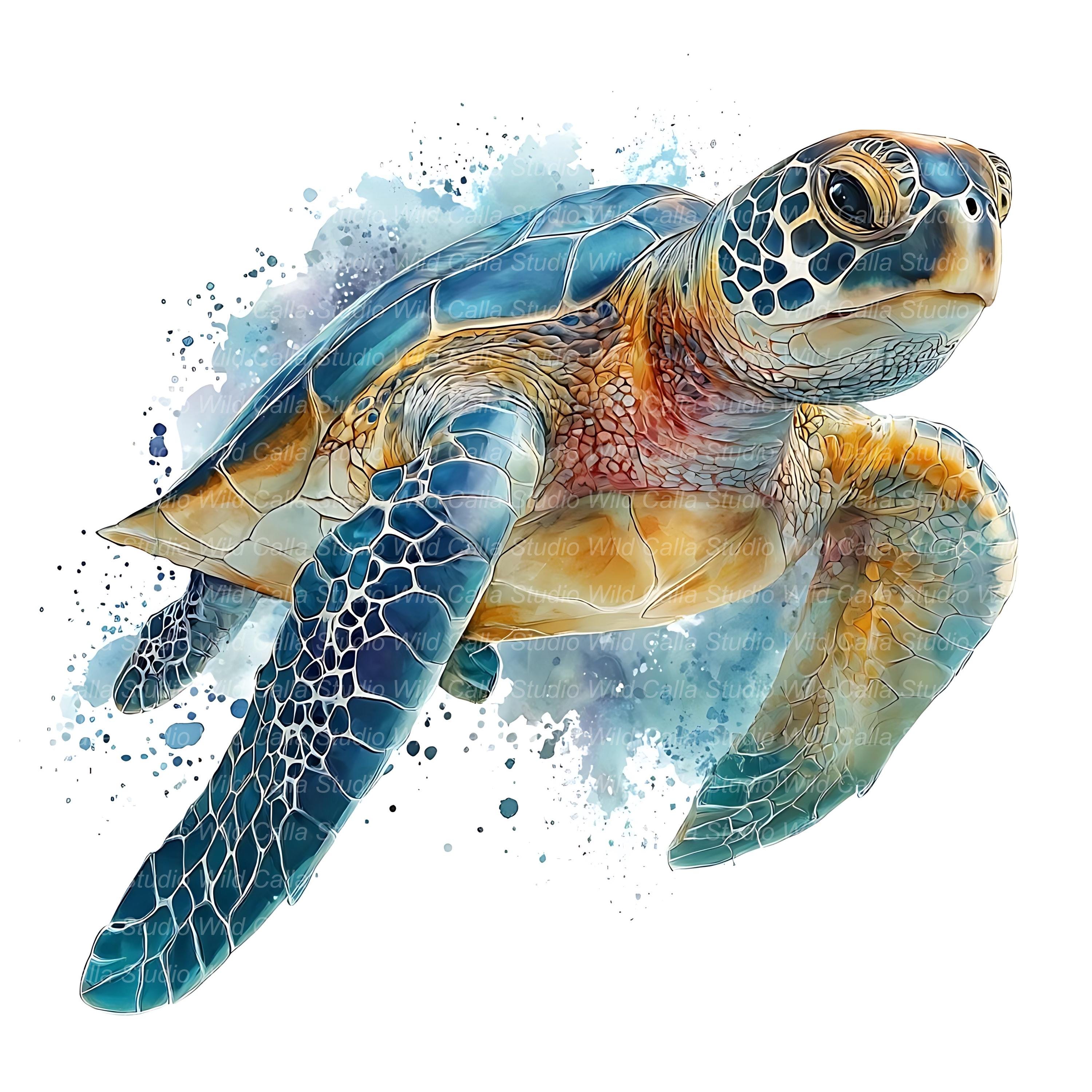 Ocean Turtle Watercolor Clipart (14 High-res Jpgs, Digital Download) - Etsy