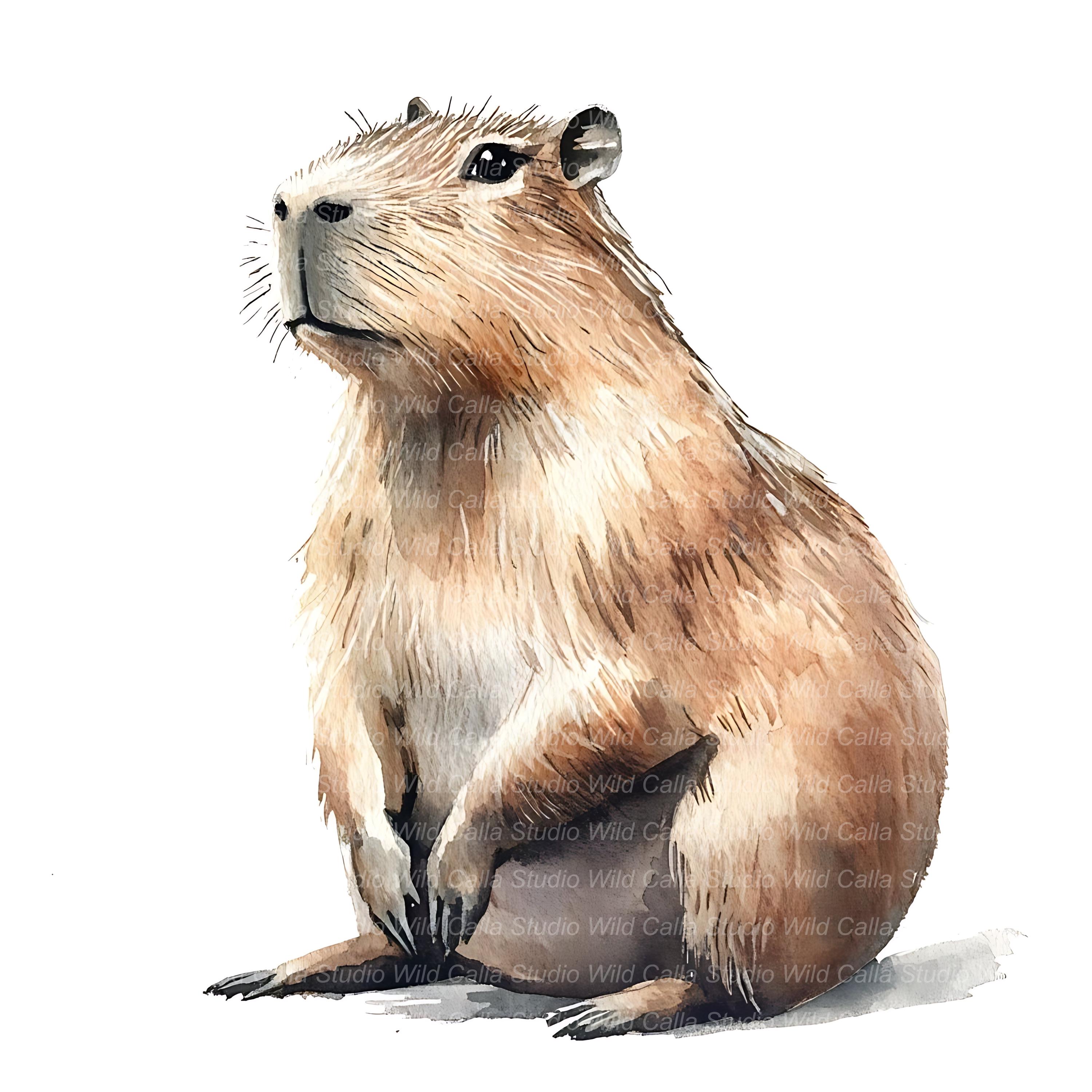 Capybara Watercolor Clipart - Printable Digital Scrapbooking Art - Etsy