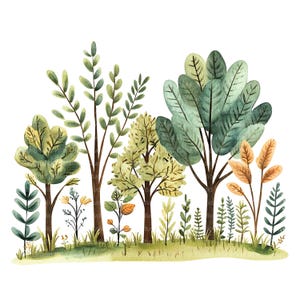 Forest Tree Clipart, Watercolor Printable (16 JPG Images) - Etsy