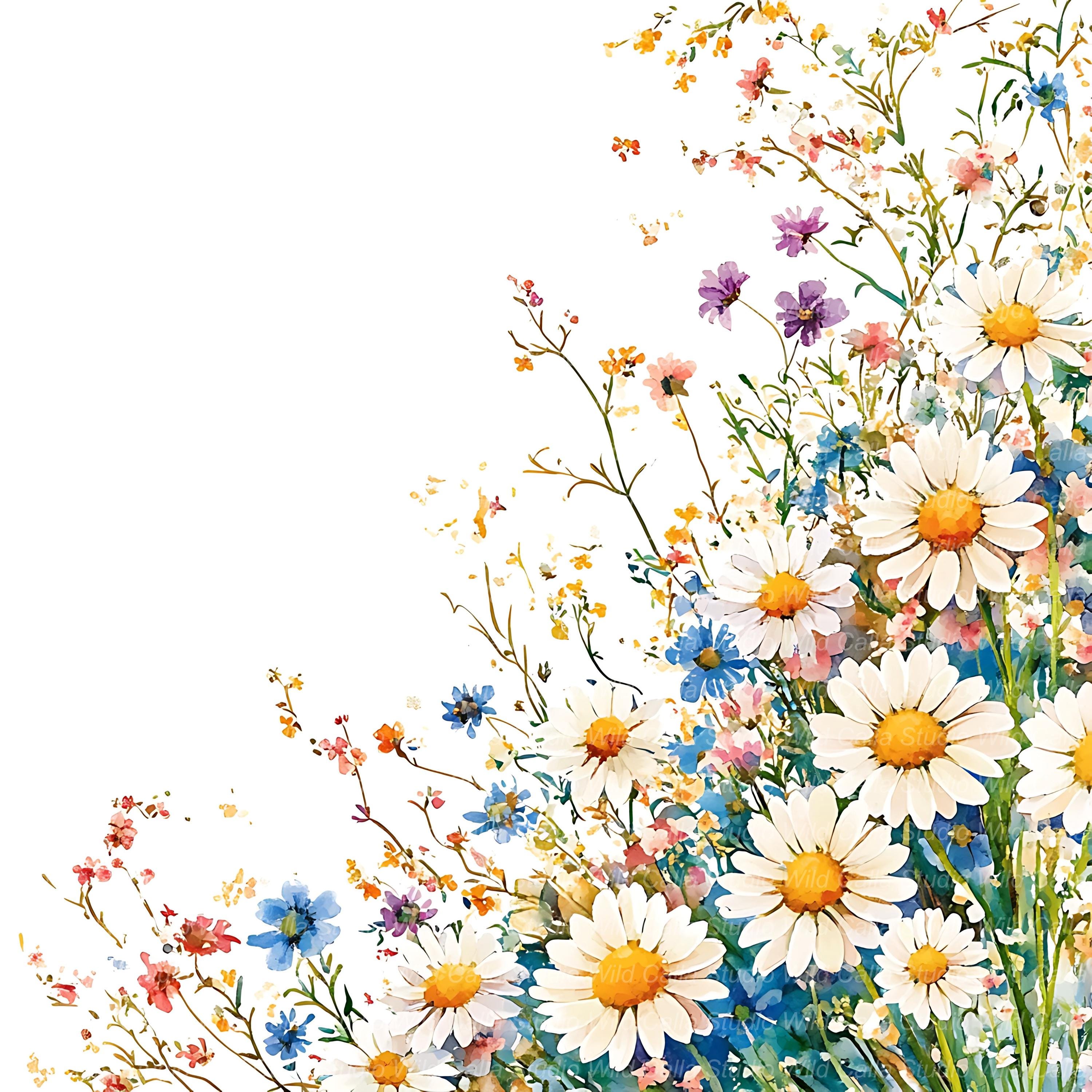 Floral Clipart Set: Daisy Borders and Spring Flowers - Pastel Colors - Etsy