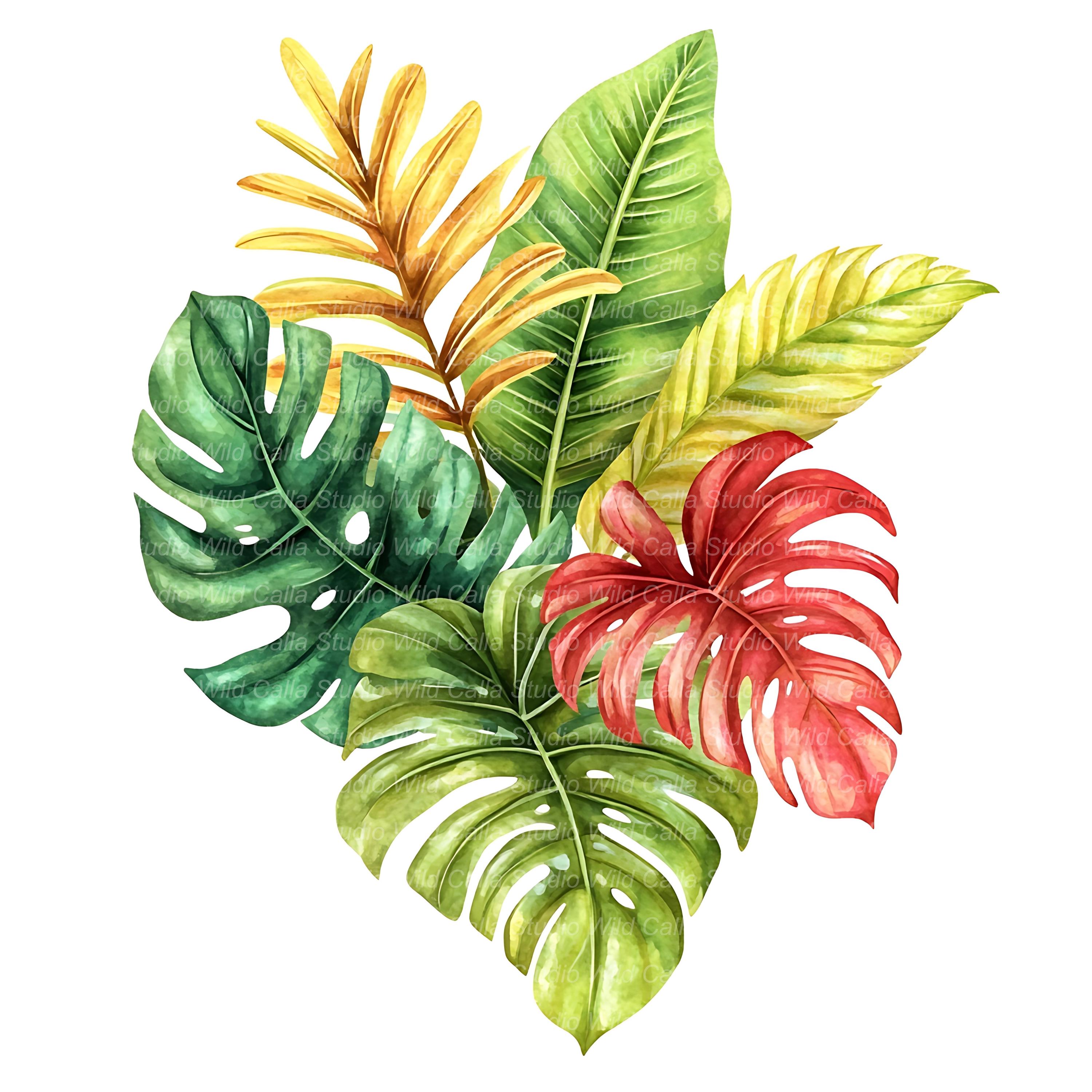 Tropical Leaves Clipart: Watercolor Jungle Plants - Digital ...