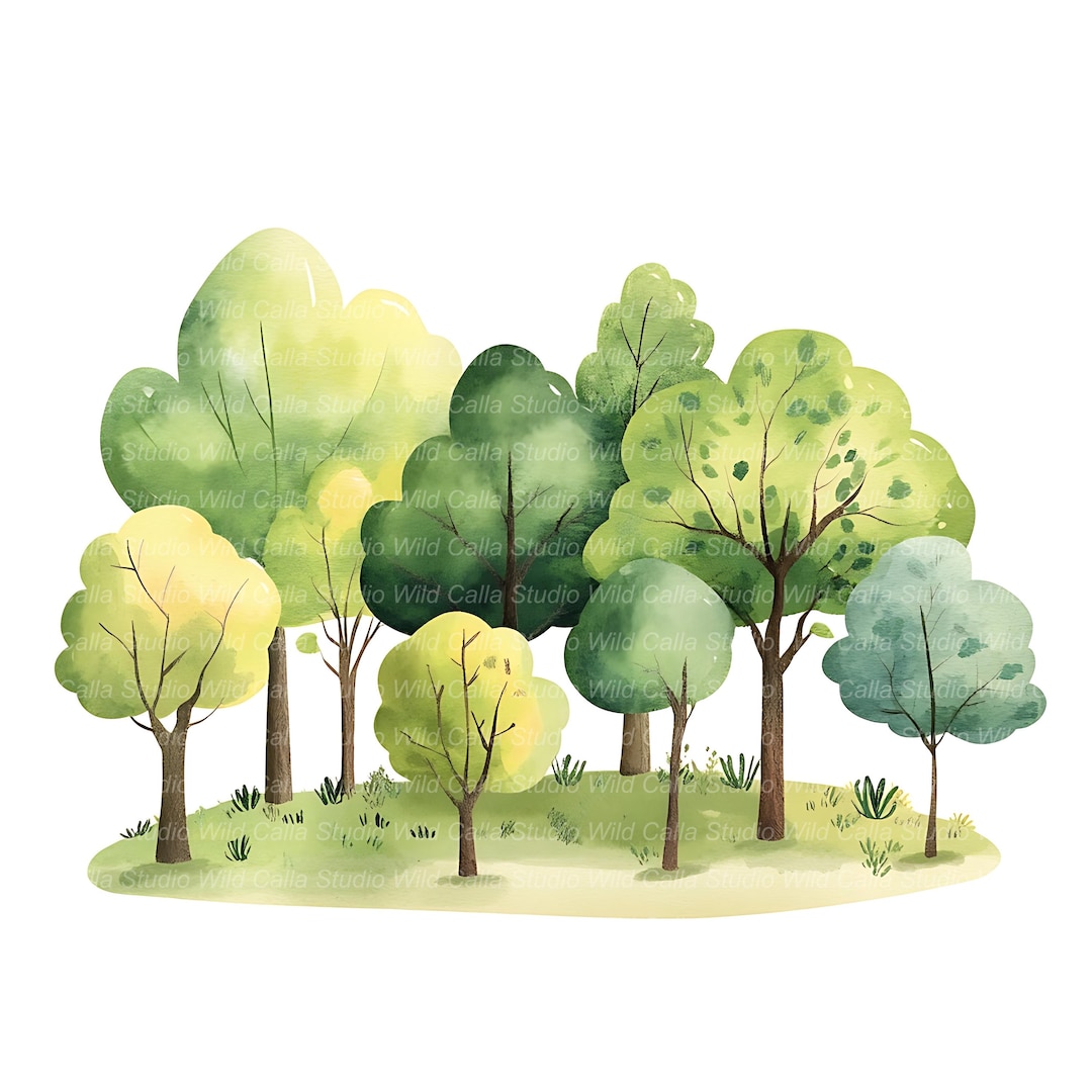Forest Tree Clipart, Watercolor Printable (16 JPG Images) - Etsy